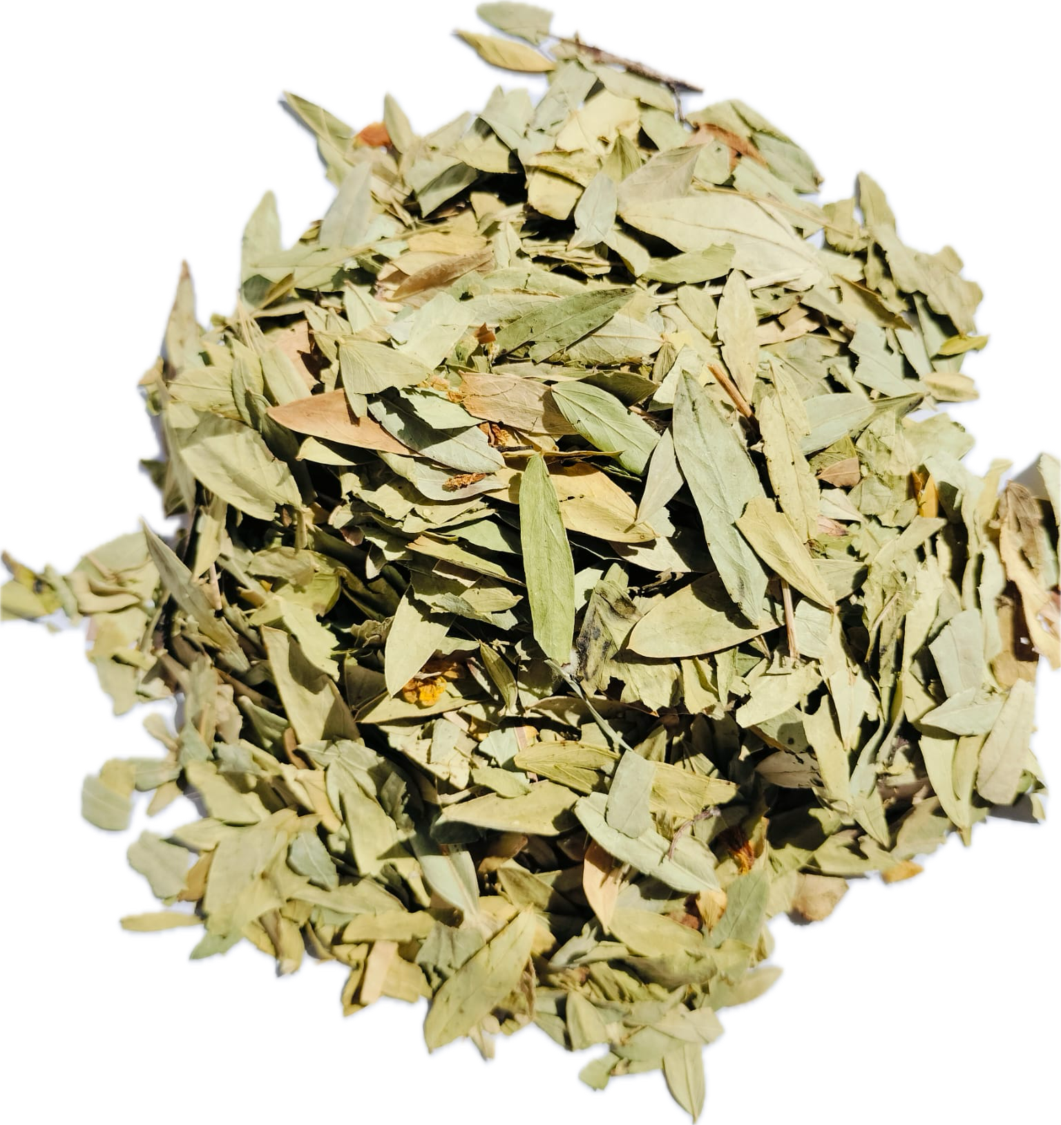 Sene Folhas (Cassia Angustifolia) – Chás Aroma Real